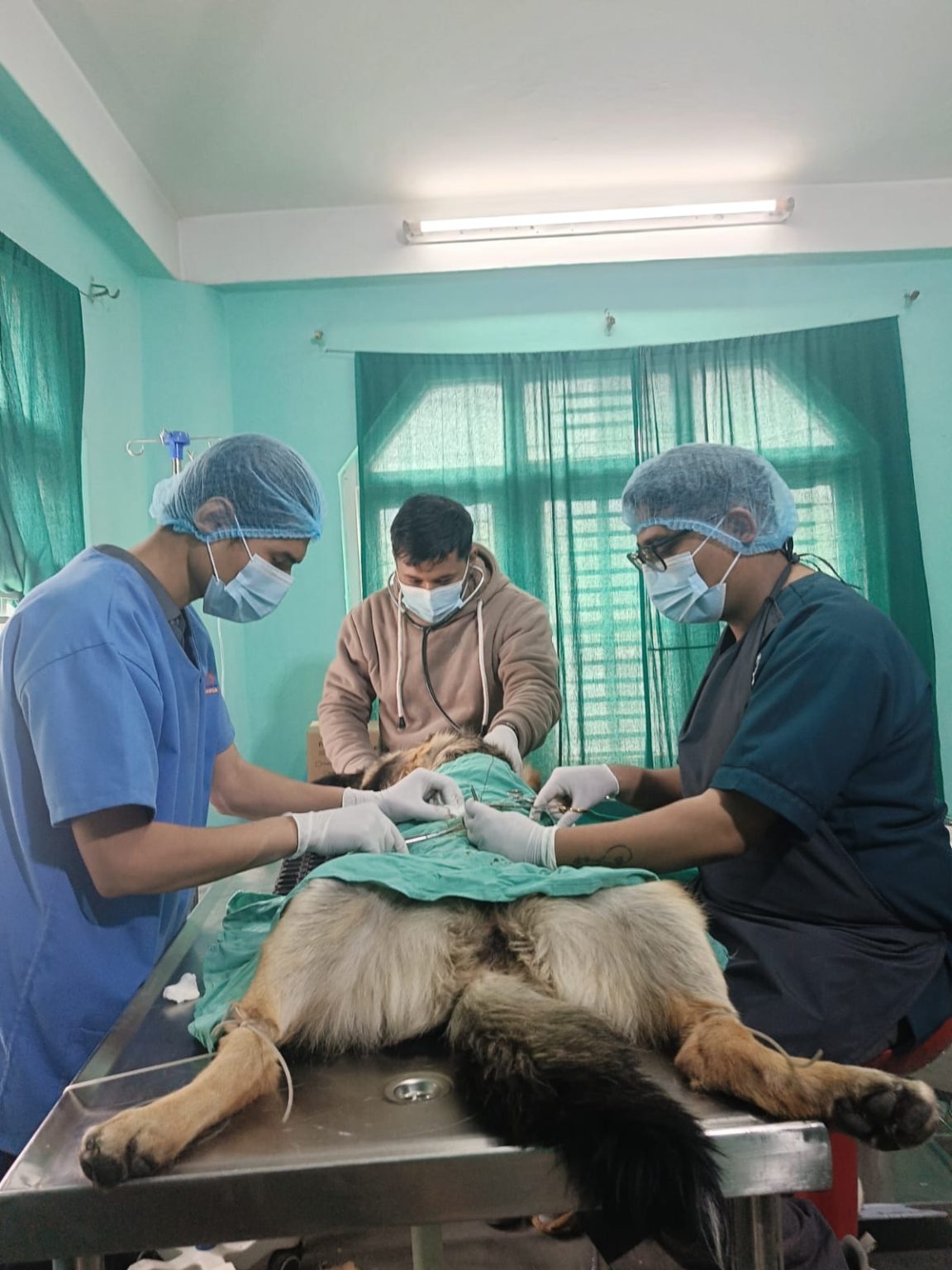 About Us - Lifeline Veterinary Hospital & Research Centre